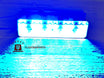 CODE 3 RX2700 - Inboard LED Module - Built In Flasher - 8 Diodes - Blu